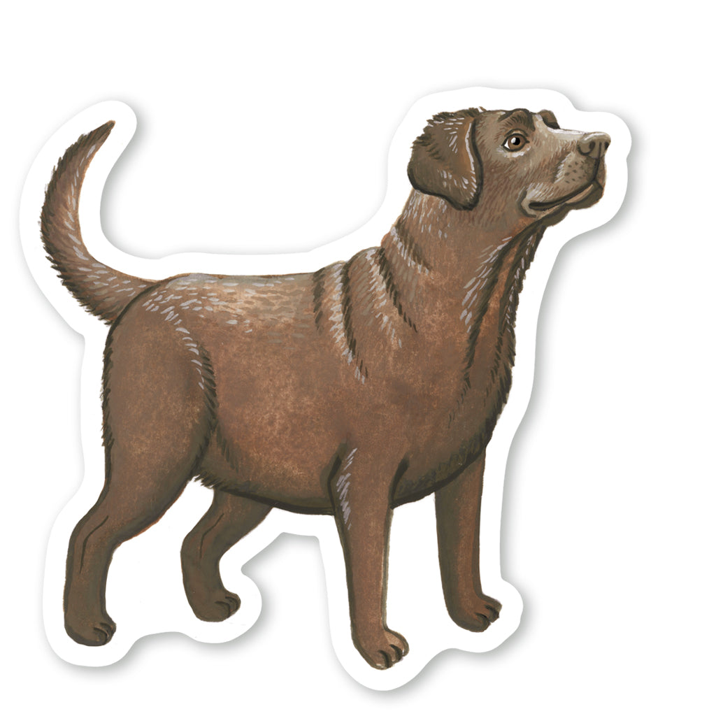 Chocolate Labrador Sticker by Party Mouse Studio