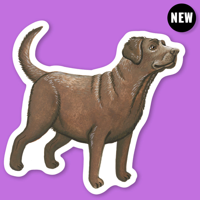Chocolate Labrador Sticker by Party Mouse Studio
