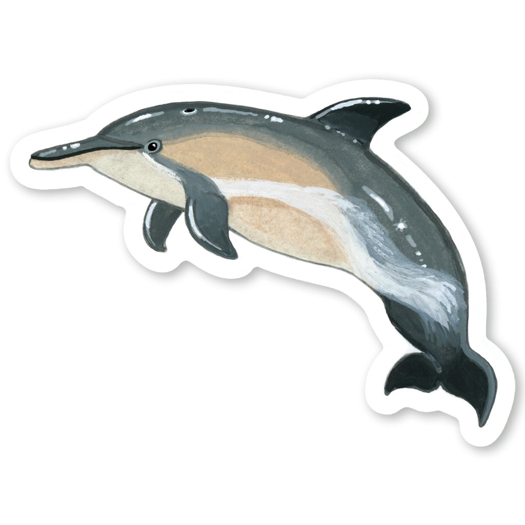 Dolphin Sticker by Party Mouse Studio