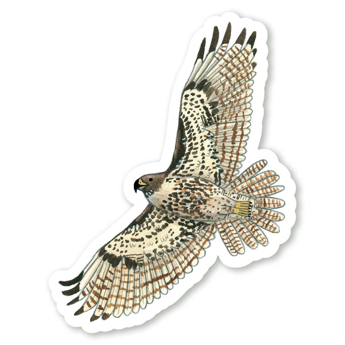 Red-tailed Hawk Sticker — Party Mouse Studio