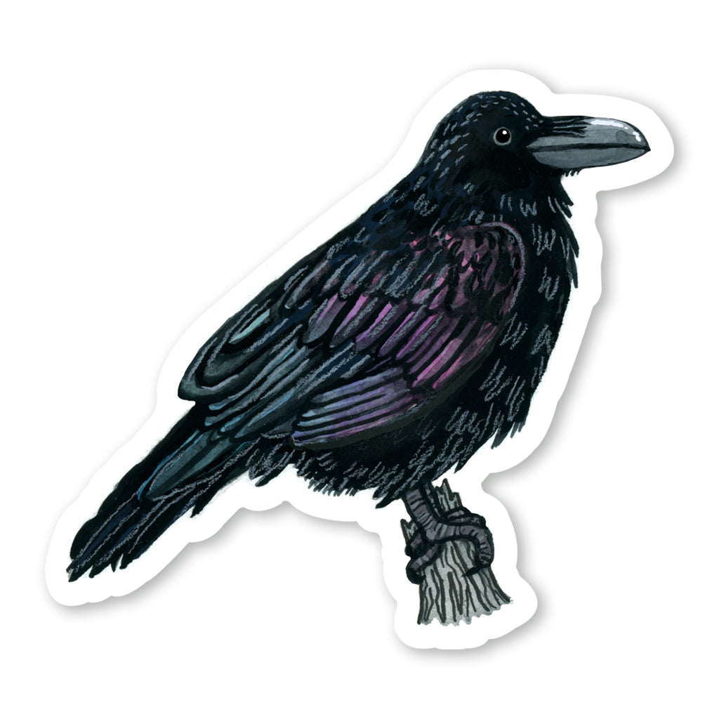 Raven Sticker by Party Mouse Studio