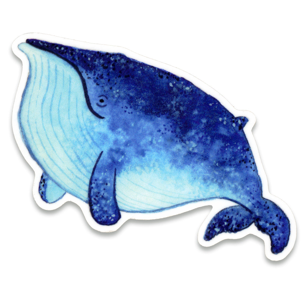 Blue Whale Sticker by Party Mouse Studio