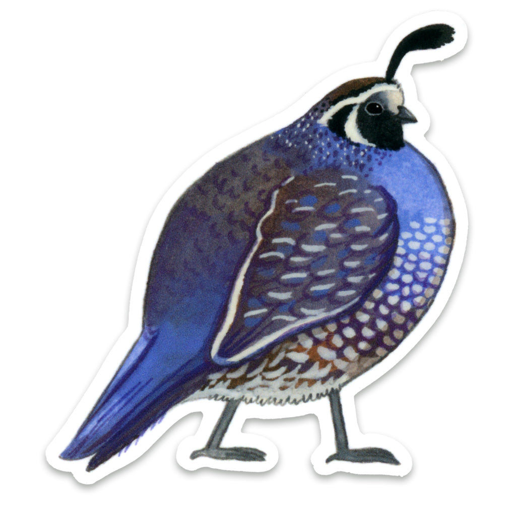 Quail Sticker by Party Mouse Studio